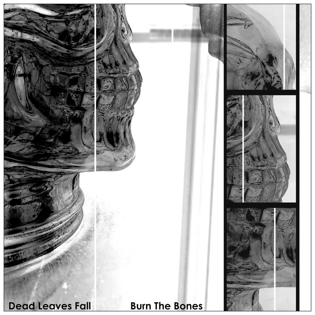 Dead Leaves Fall | Spotify