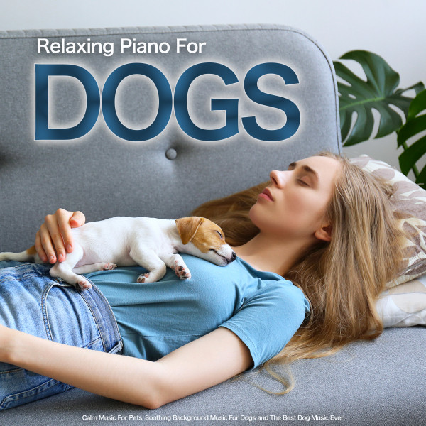 Relaxing Piano For Dogs: Calm Music For Pets, Soothing Background Music ...