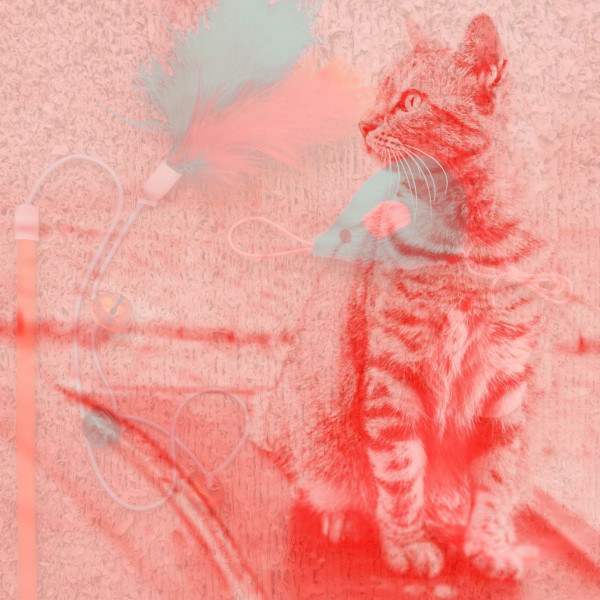 Marvellous Latin Guitar - Bgm for Wonderful Cats - Album by Music For ...