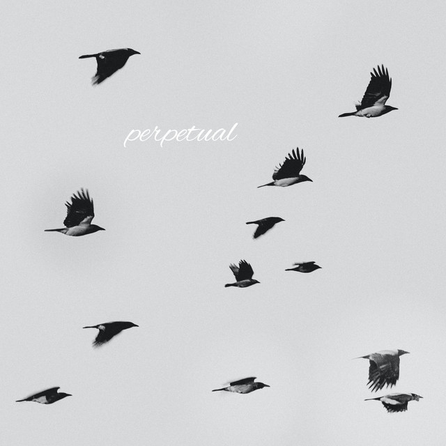 Perpetual - Single by Ethan Beckett | Spotify