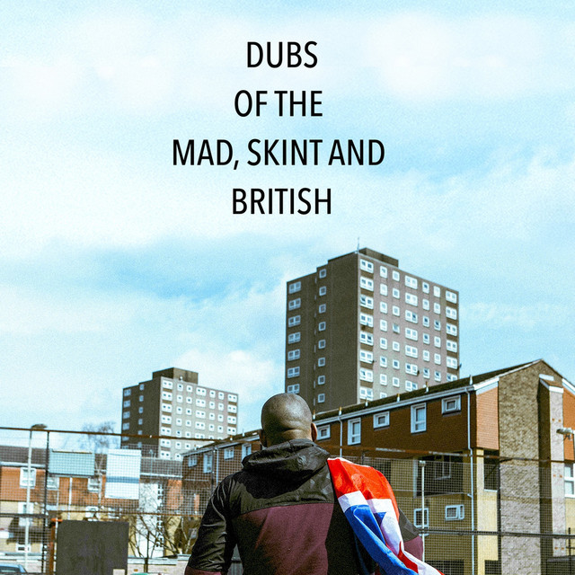 dubs-of-the-mad-skint-and-british-album-by-lloyd-luther-spotify