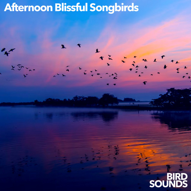 Afternoon Blissful Songbirds - Album by Bird Sounds | Spotify