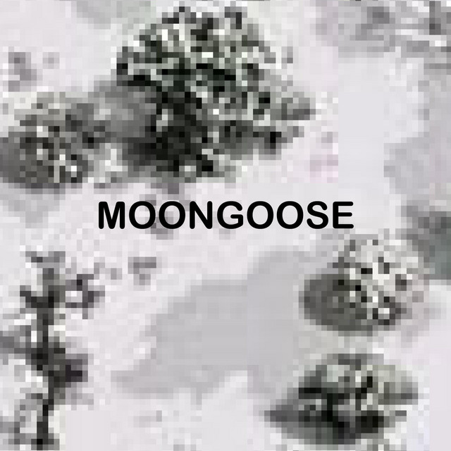 MOONGOOSE - EP by Mooncloth | Spotify