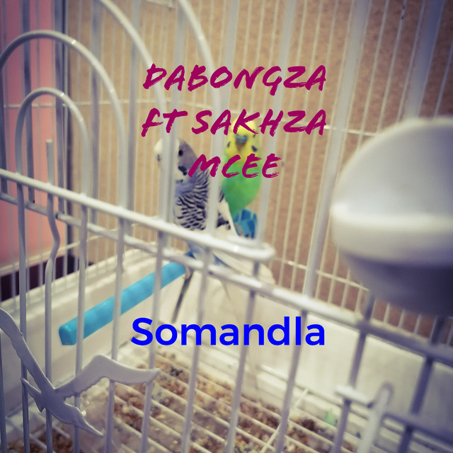 Somandla - Single by Dabongza | Spotify