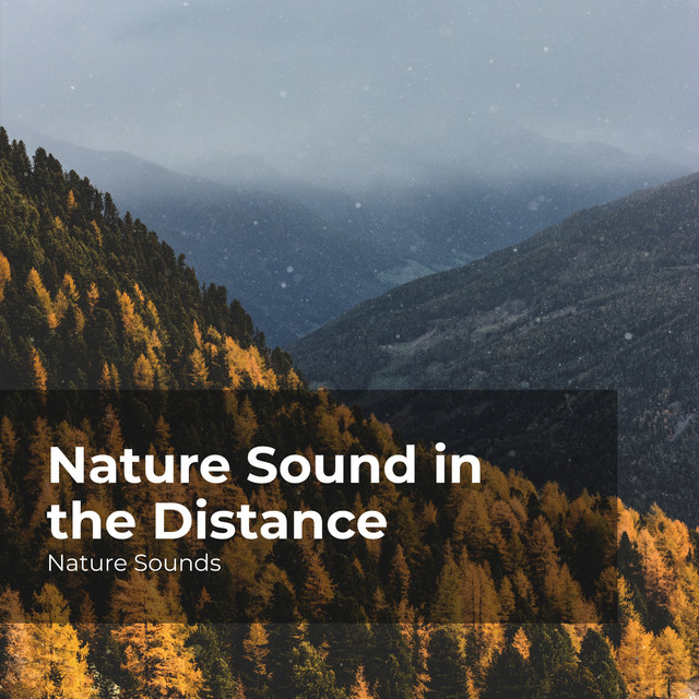 Nature Sound in the Distance - Album by Nature Sounds | Spotify