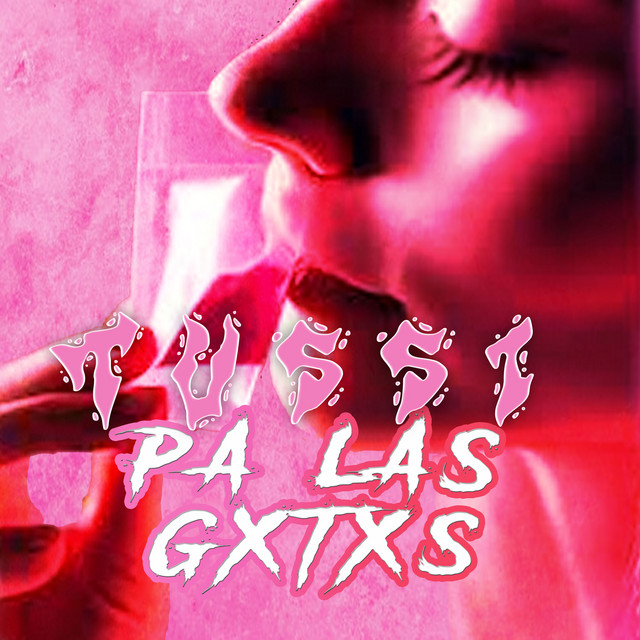 Tussi Pa las Gxtxs - song and lyrics by Dj Aldair El Rey De La ...