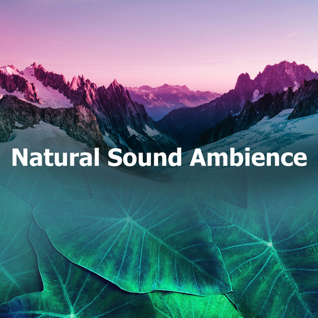 Natural Sound Ambience - Album by Nature Sound Pit | Spotify