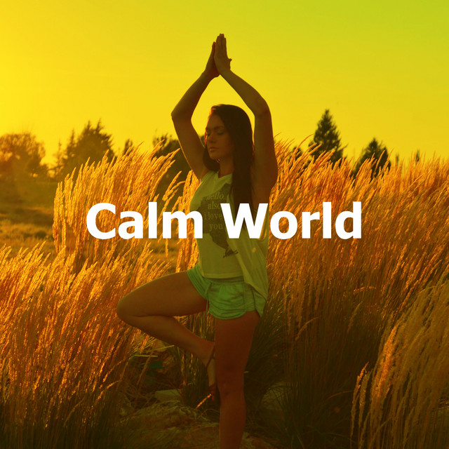 Calm World - Album by Yoga Workout Music | Spotify