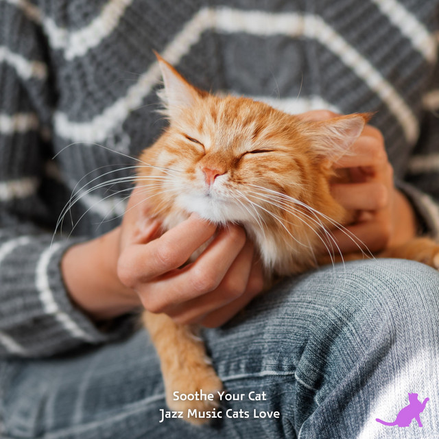 Soothe Your Cat Jazz Music Cats Love Album By Jazz Music Therapy For