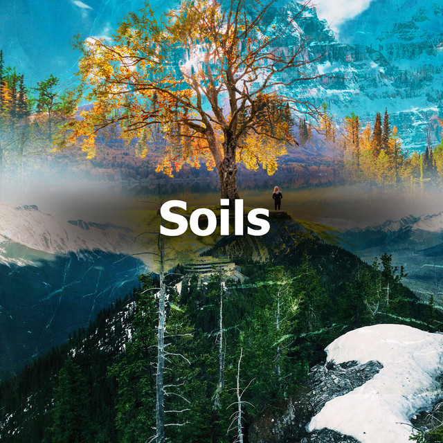 Soils - Album by The Relaxing Sounds of Swedish Nature | Spotify
