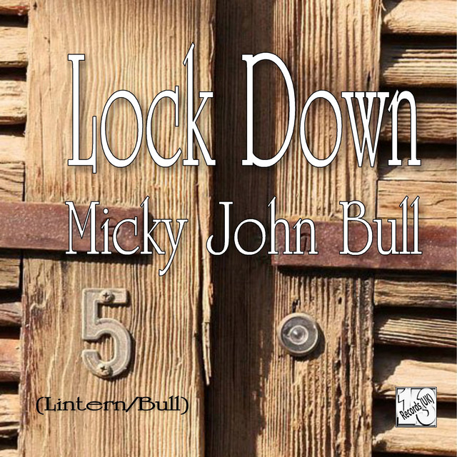 LOCK DOWN - Single by Micky John Bull | Spotify