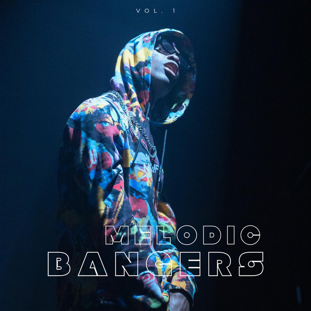 Melodic Bangers Vol 1 Album By Beats By Dank Spotify