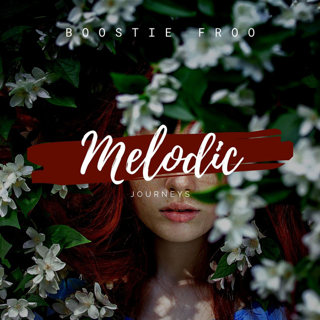 Melodic Journeys - Single by Boostie Froo | Spotify