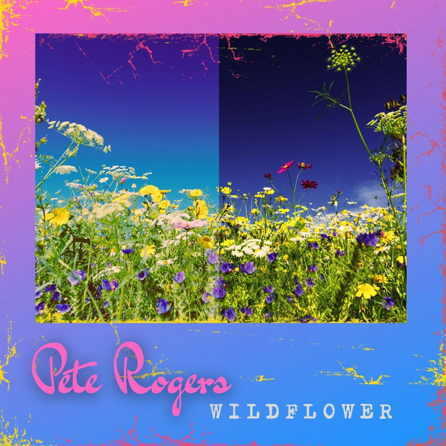 Wildflower - EP by Pete Rogers | Spotify