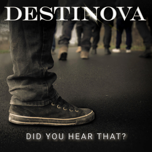 Did You Hear That? - Single by Destinova | Spotify