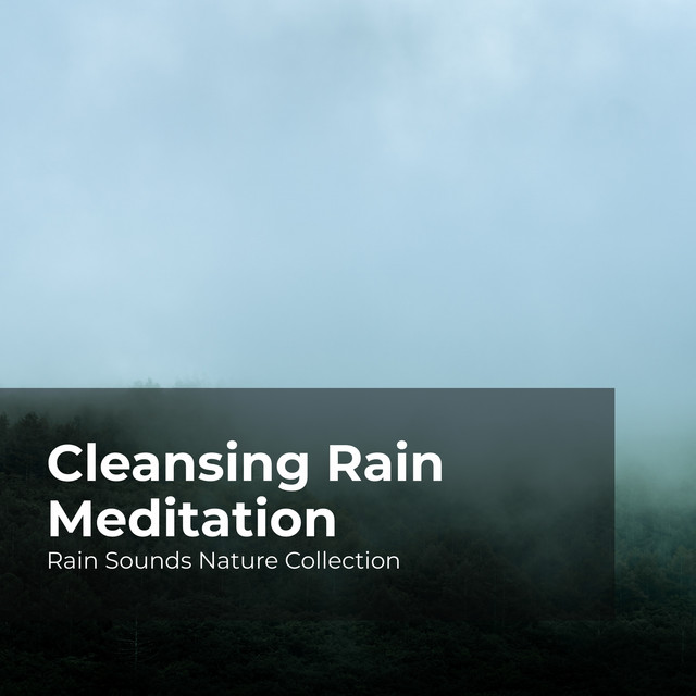 Cleansing Rain Meditation - Album by Rain Sounds Nature Collection ...