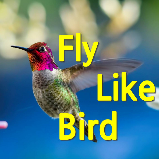 Fly Like Bird - Compilation by Various Artists | Spotify
