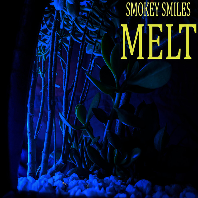 Melt - Single by Smokey Smiles | Spotify