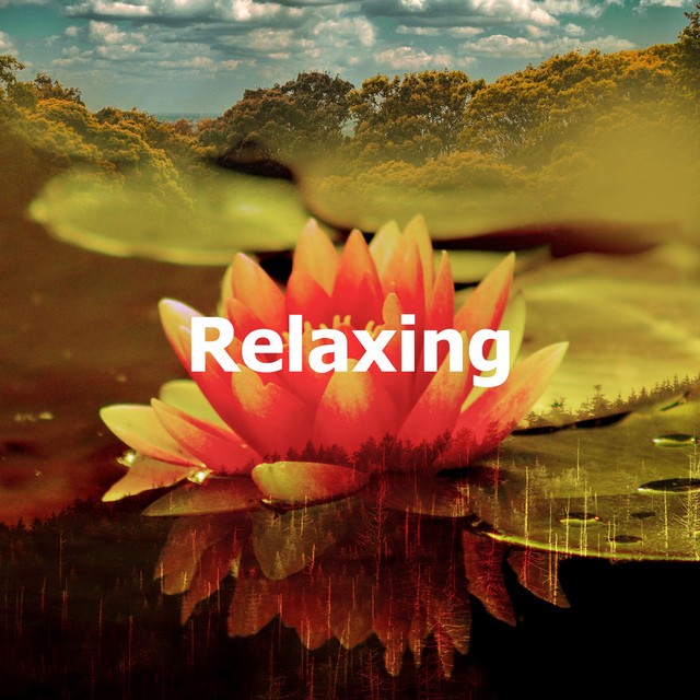 Relaxing - Album by Spa Zen | Spotify