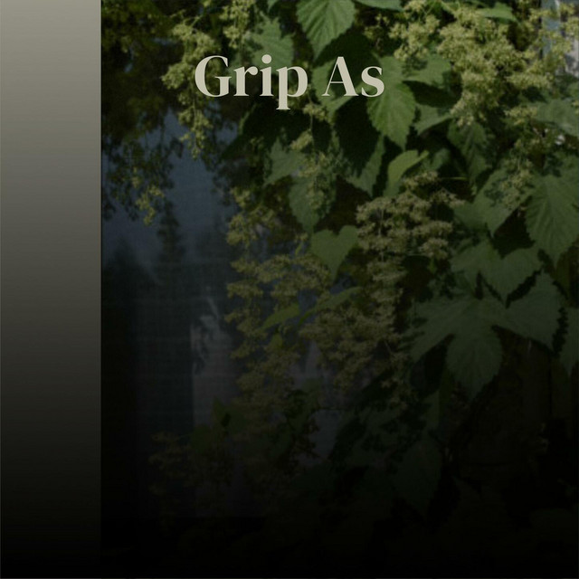Grip As - Compilation by Various Artists | Spotify
