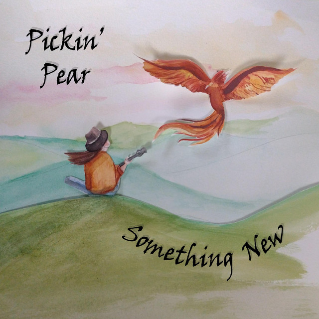 Something New - Single by Pickin' Pear | Spotify