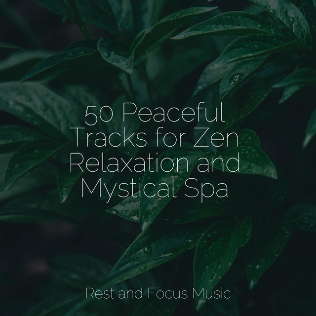 50 Peaceful Tracks for Zen Relaxation and Mystical Spa - Album by Kings ...