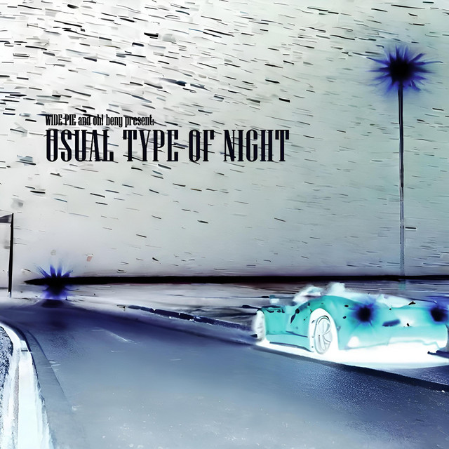USUAL TYPE OF NIGHT - Single by WIDE PIE | Spotify