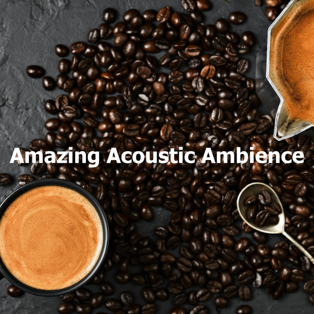 Amazing Acoustic Ambience - Album by Acoustic Guitar Tribute Players ...
