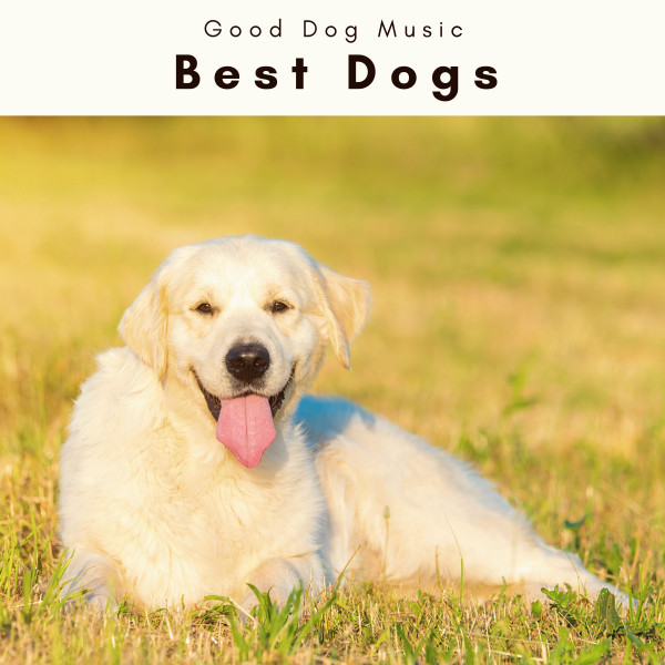 4 Best Dogs Vol. 2 - Album by Good Dog Music | Spotify