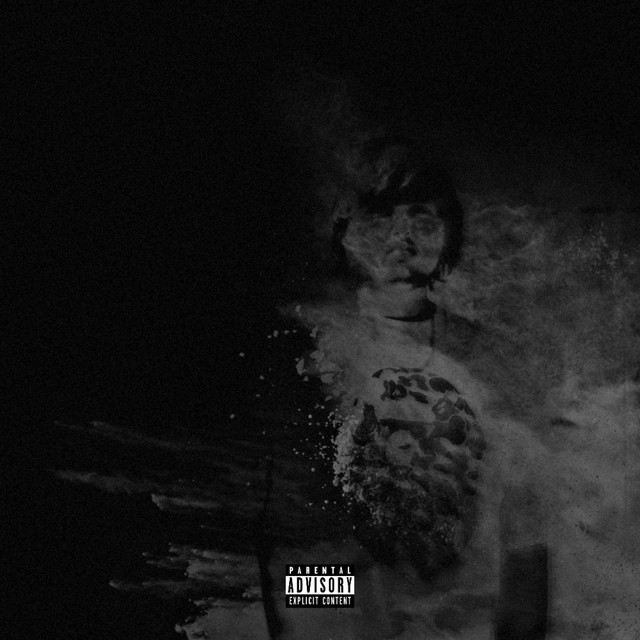 REDO - song and lyrics by lil jane | Spotify
