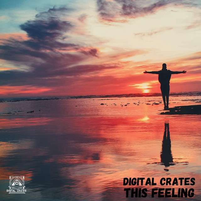 This Feeling - Single by Digital Crates | Spotify