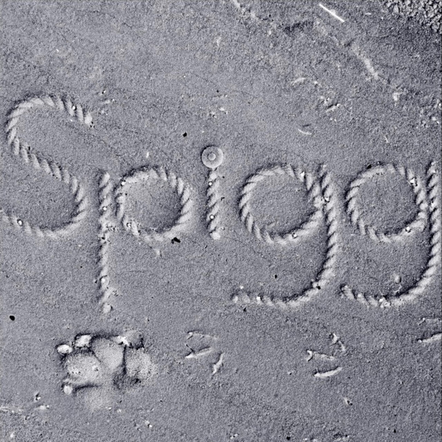 Spigg | Spotify