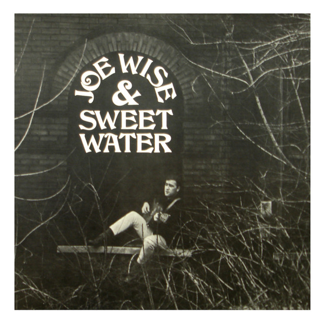 Bring Me a Rose - song and lyrics by Joe Wise | Spotify