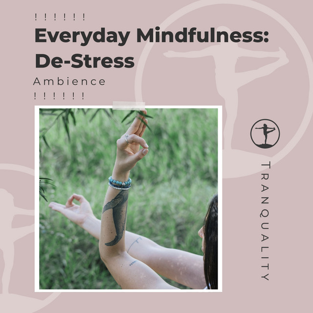 Everyday Mindfulness: De-Stress Ambience ! ! ! ! ! ! - Album by ...