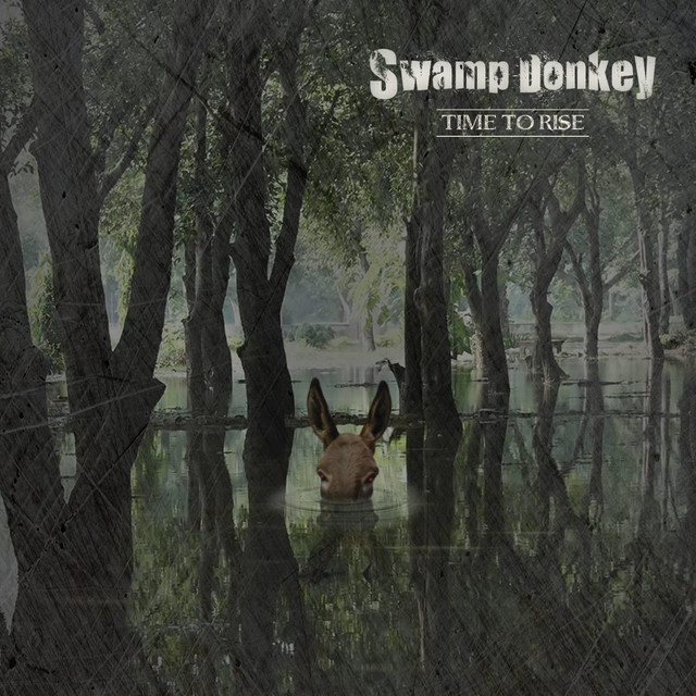 You Made Me – Single de Swamp Donkey | Spotify