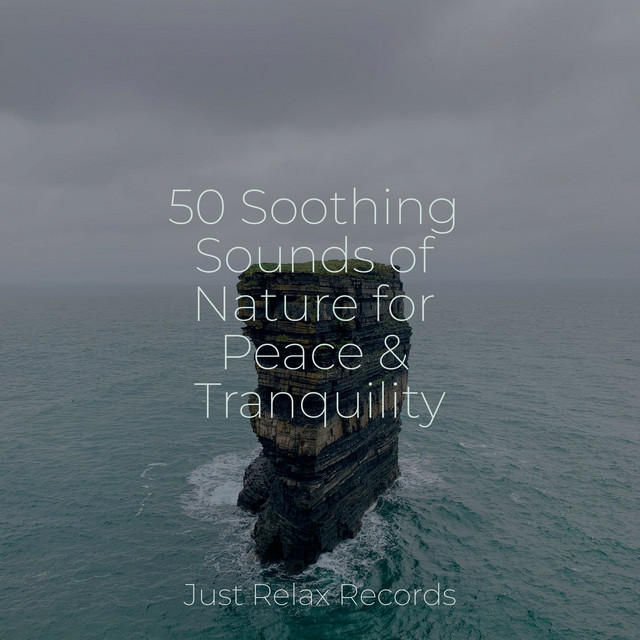 50 Soothing Sounds of Nature for Peace & Tranquility - Album by Musica ...