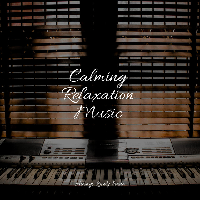 Calming Relaxation Music - Album by Relajación Piano | Spotify
