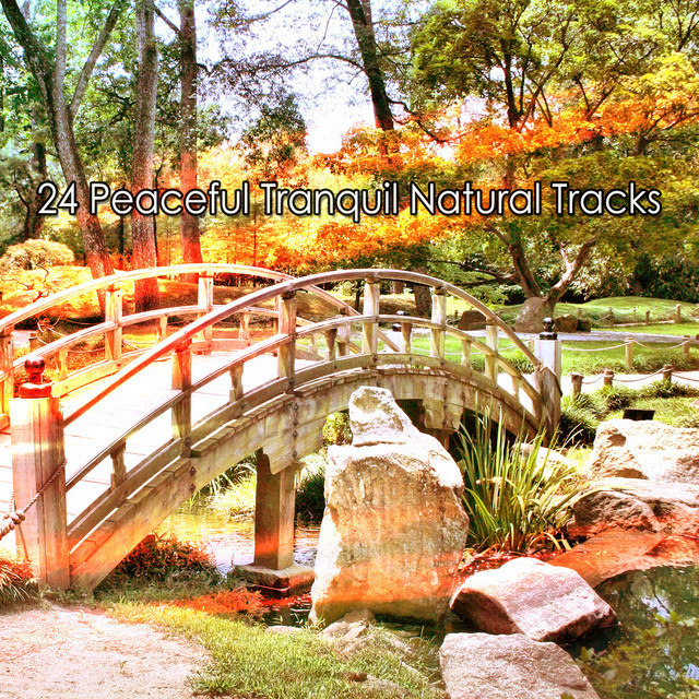 24 Peaceful Tranquil Natural Tracks - Album by Sounds Of Nature | Spotify