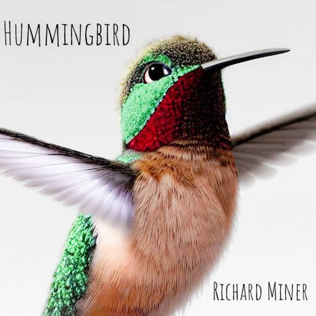 Hummingbird - Single by Richard Miner | Spotify