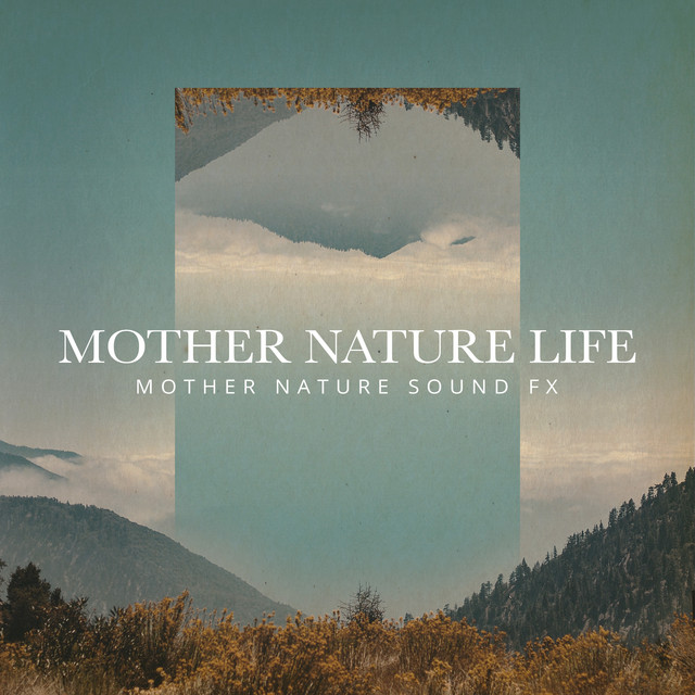 Mother Nature Life - Album by Mother Nature Sound FX | Spotify
