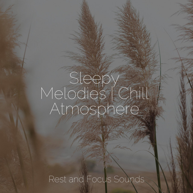 Sleepy Melodies | Chill Atmosphere - Album by Relaxed Minds | Spotify
