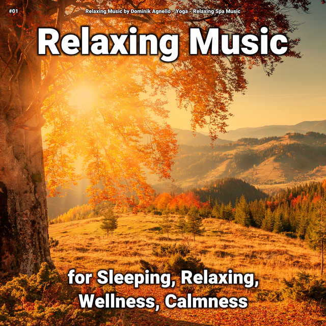 #01 Relaxing Music for Sleeping, Relaxing, Wellness, Calmness - Album ...