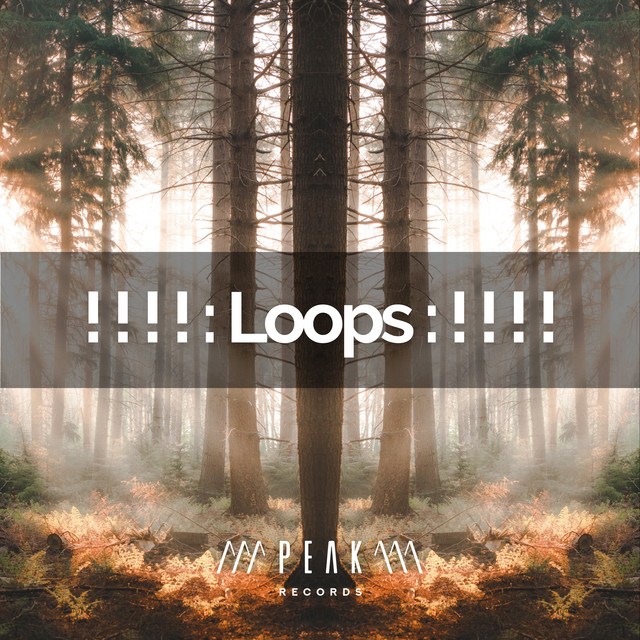 Loops : ! ! ! ! - Album by Nature Recordings | Spotify