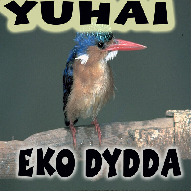 Yuhai - Album by Eko Dydda | Spotify