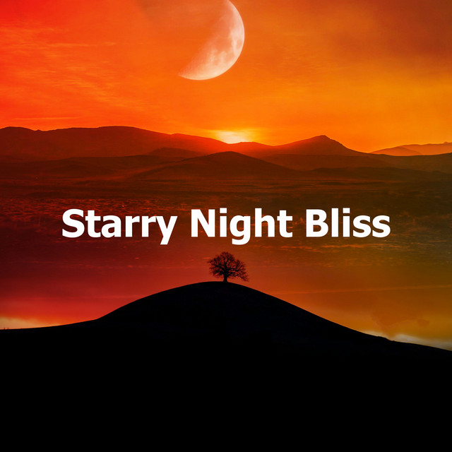 Starry Night Bliss - Album by Night Sounds | Spotify