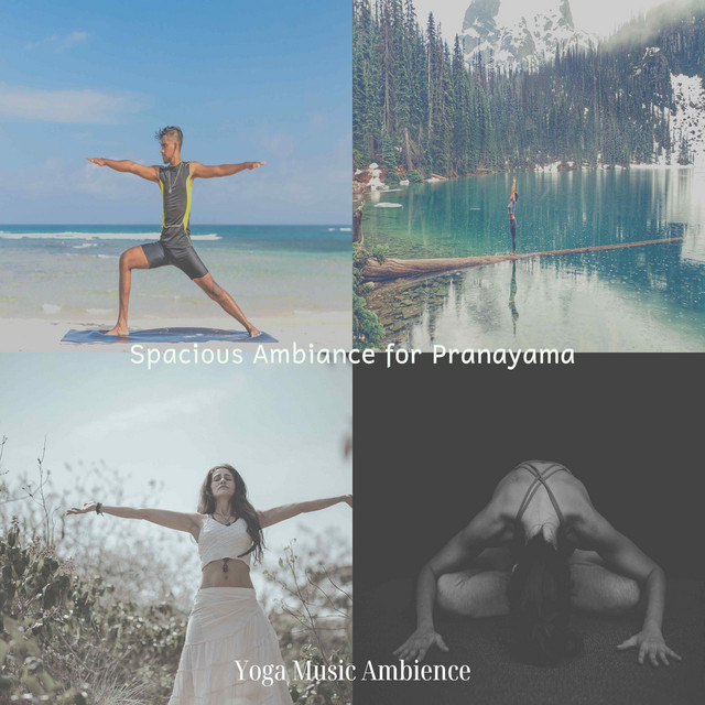 Sophisticated Ashtanga Yoga - song and lyrics by Yoga Music Ambience ...