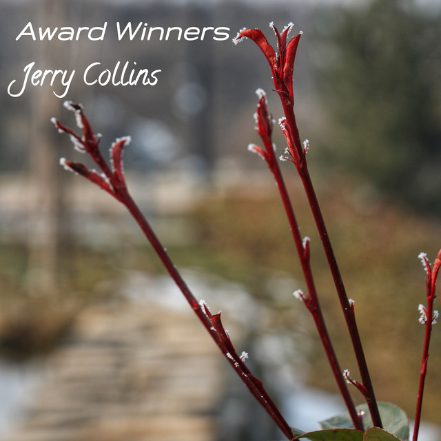 Life by Life - song and lyrics by Jerry Collins | Spotify