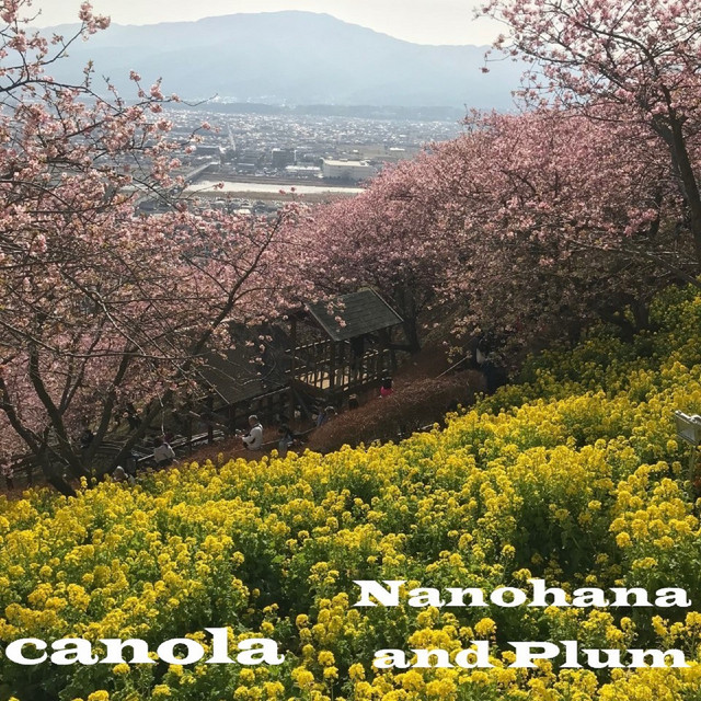 Turkish March (favorite01) - song and lyrics by canola | Spotify