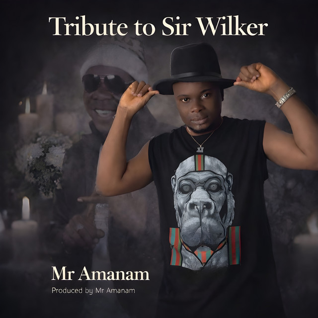 Tribute to Sir Wilker - Single by Mr Amanam | Spotify