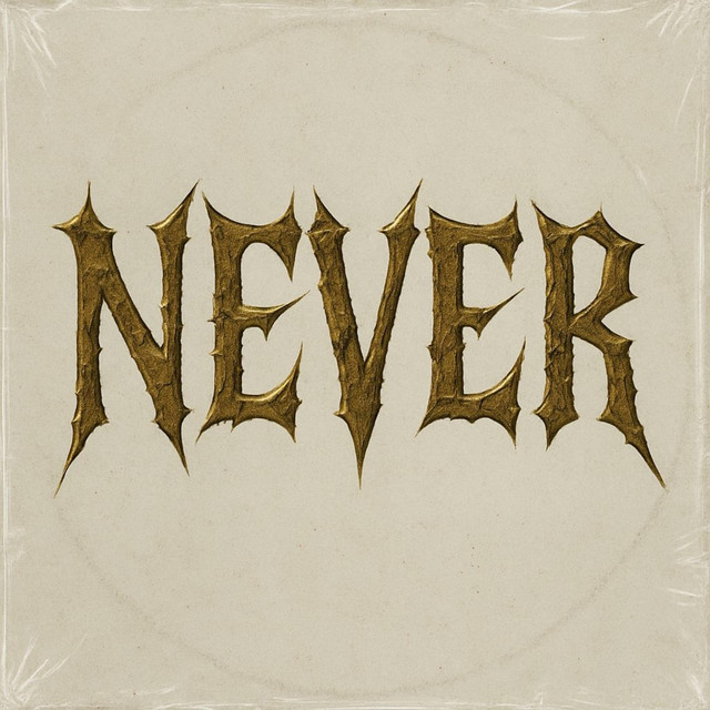 Never - Single by Sharry | Spotify